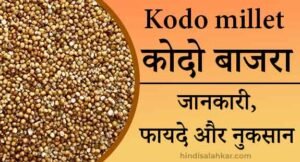 Kodo millet in hindi | कोदो की खेती | It's benefits and side effects ...