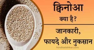 किनोवा क्या होता है | Benefits of quinoa in hindi - HINDI SALAHKAR